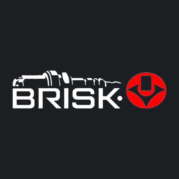 Brisk Spark Plugs | Edwards Kart Wheels – Devil Race Karts / Edwards ...